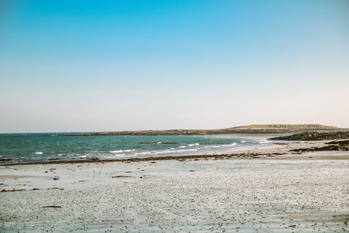 The Full Shilling | Portavogie Beach Shells